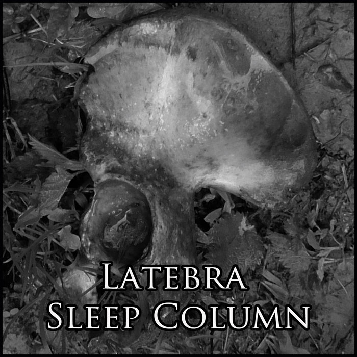 Untitled | Latebra + Sleep Column | Wall Noise Action