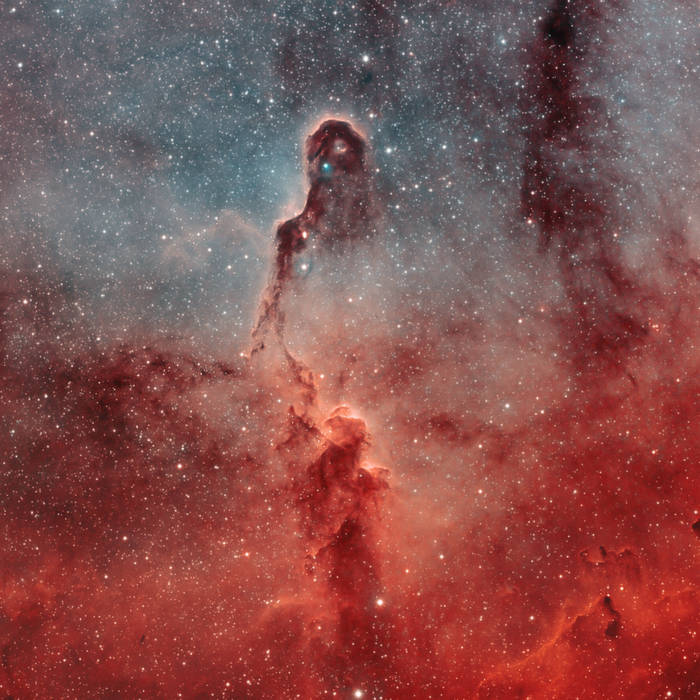 Ic 1011