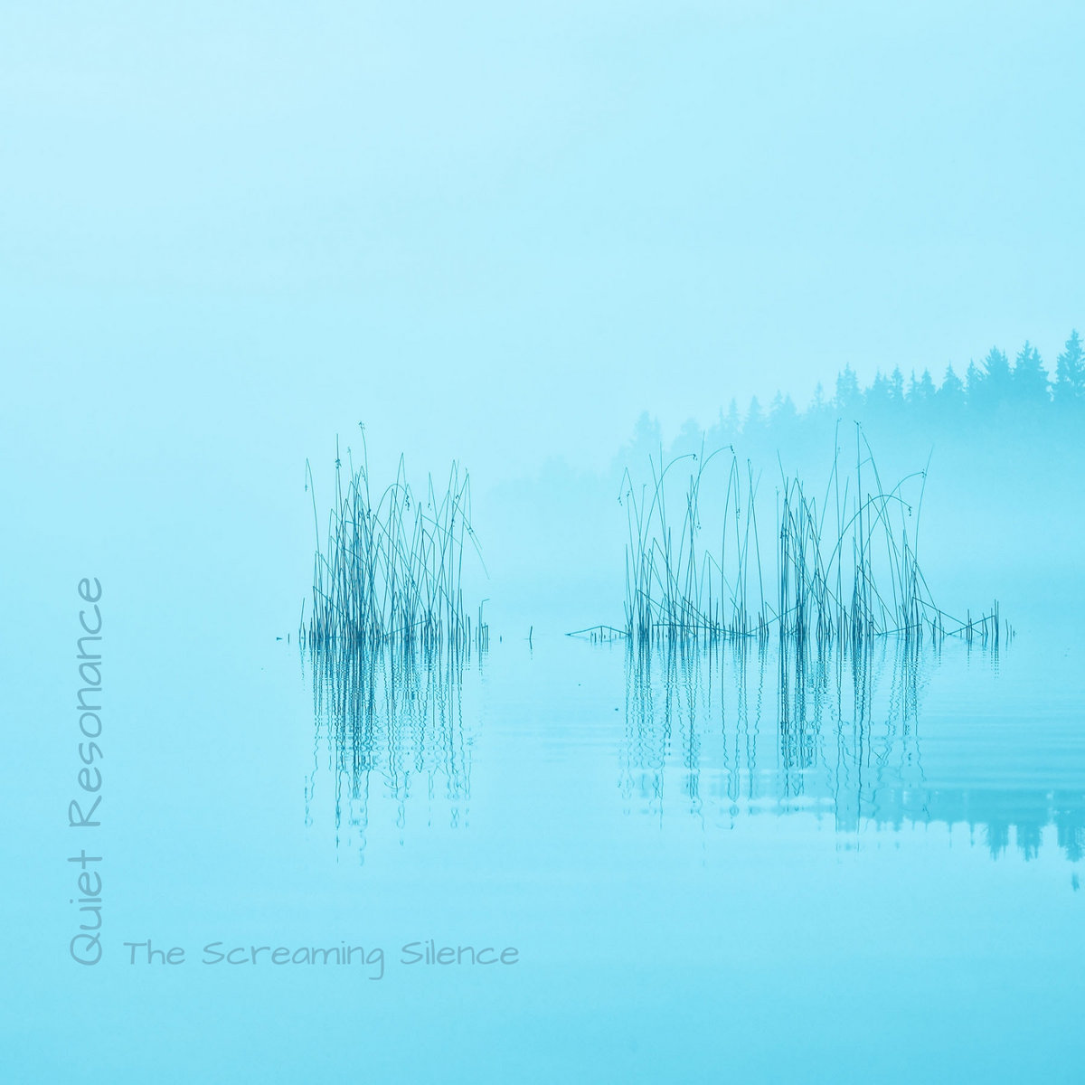 The Screaming Silence | Quiet Resonance