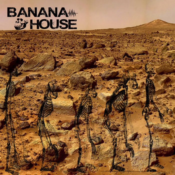 The Banana House | The Banana House