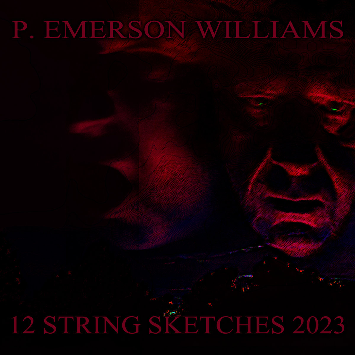 12 String Sketches 2023 | P. Emerson Williams | PANICMACHINE