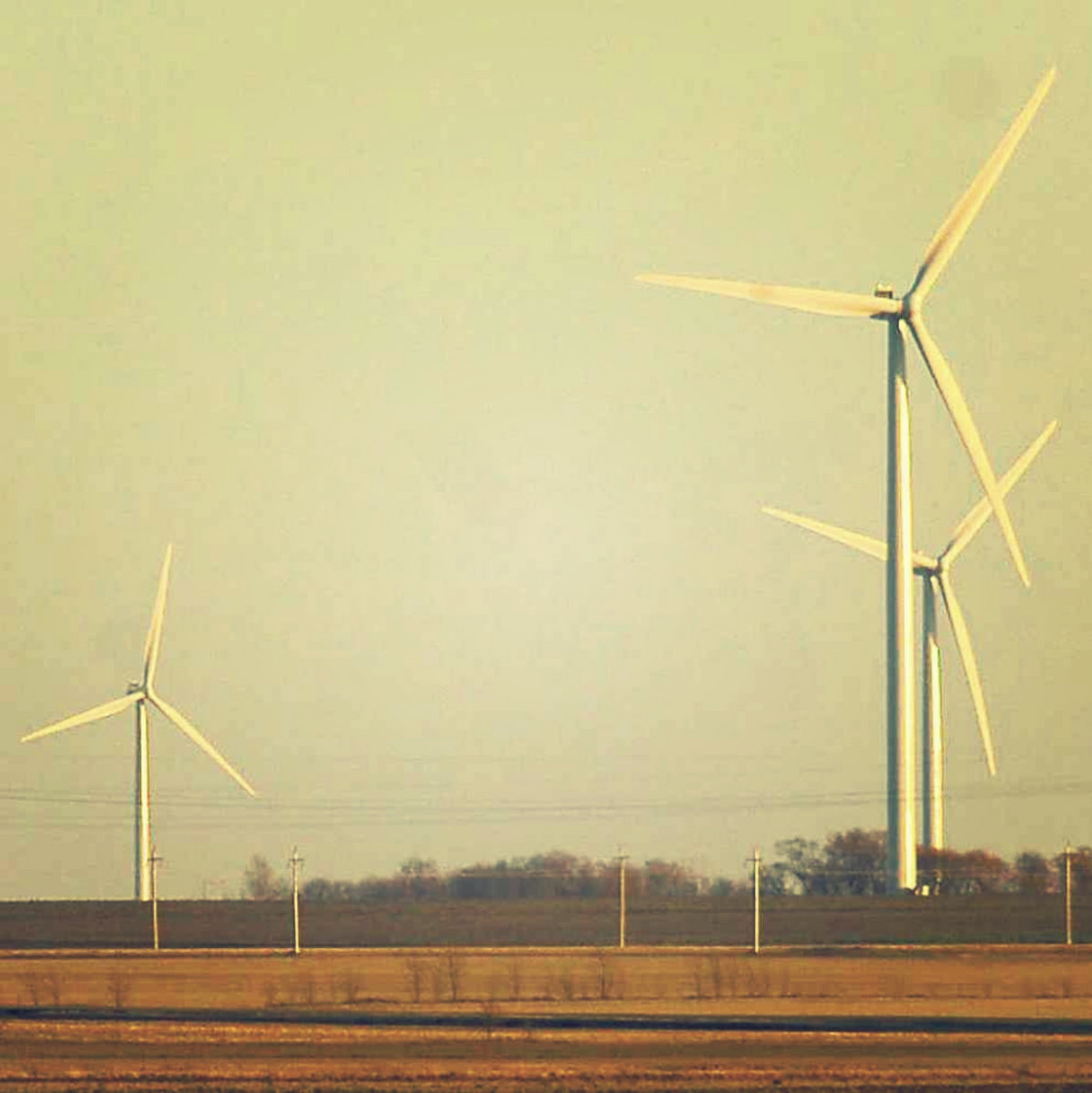 Stray Feathers from the Wind Farm | Hymns57