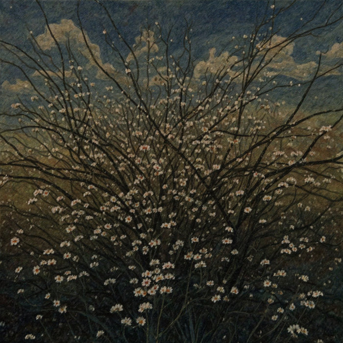 Sad spring songs | crymeans