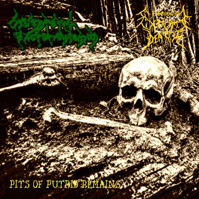 Pits of Putrid Remains | Dysenteric Excrementation | Exhume Death Records