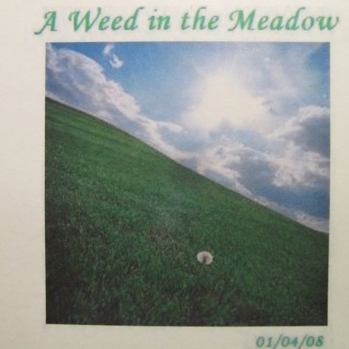 A Weed In A Meadow | Mothership