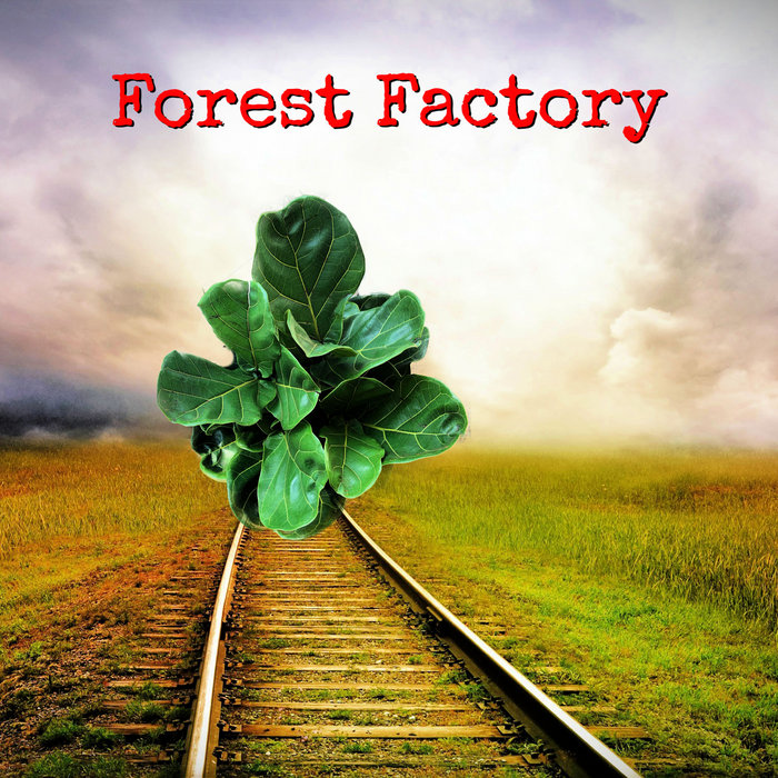 Forest Factory | Forest Factory