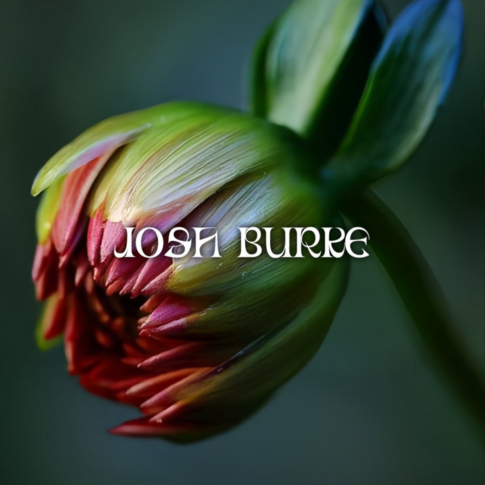 Catatonic Lover [MY01] | Josh Burke | MOYA