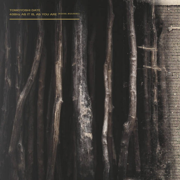 438Hz As It Is, As You Are [あるがまま、あなたのままに] | Tomoyoshi Date