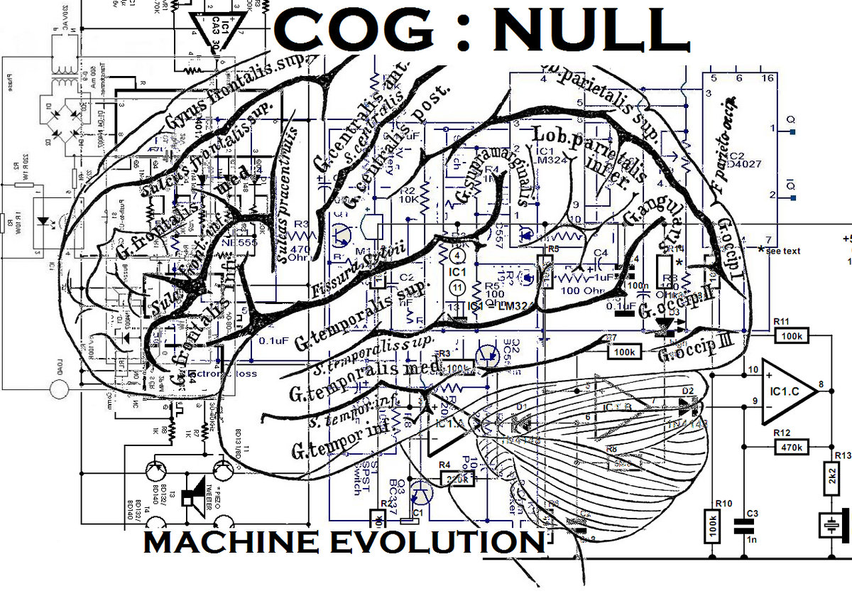 MACHINE EVOLUTION | COG : NULL