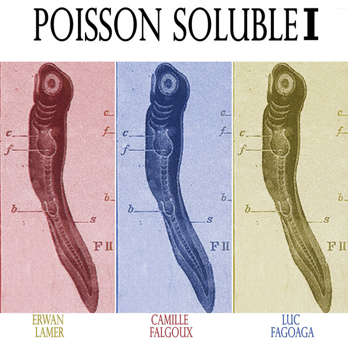 Poisson Soluble I | Poisson Soluble