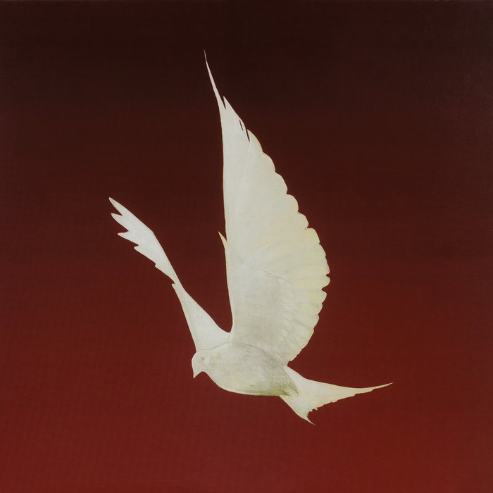 Dove | Floor