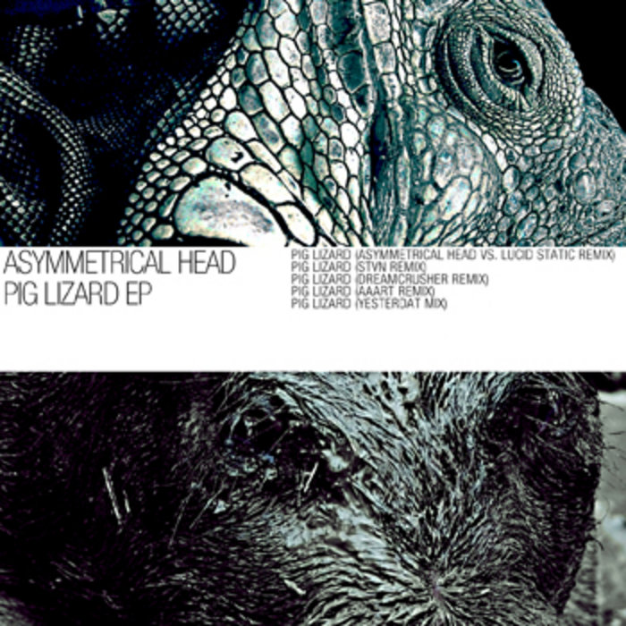 Pig Lizard EP | Asymmetrical Head