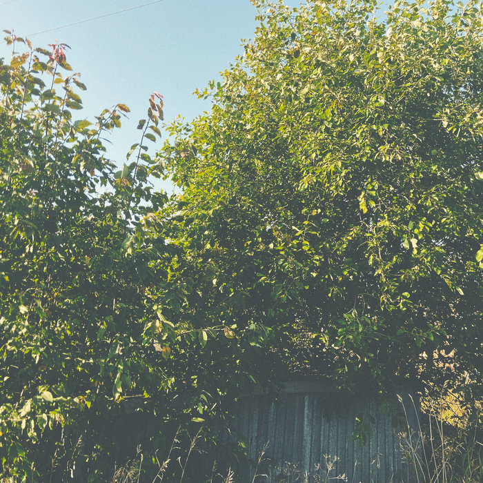 summer lawns | lurp sheets