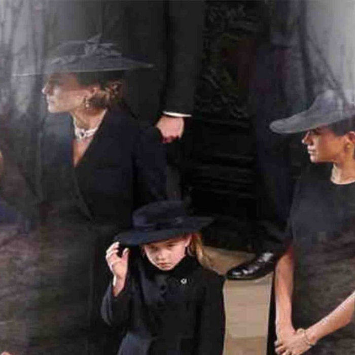 KATEZ (COMPILATION) | ༺༼ᢈ ੬? ໗ ℺ ཥ ݳ ގ ਸ਼༽༻