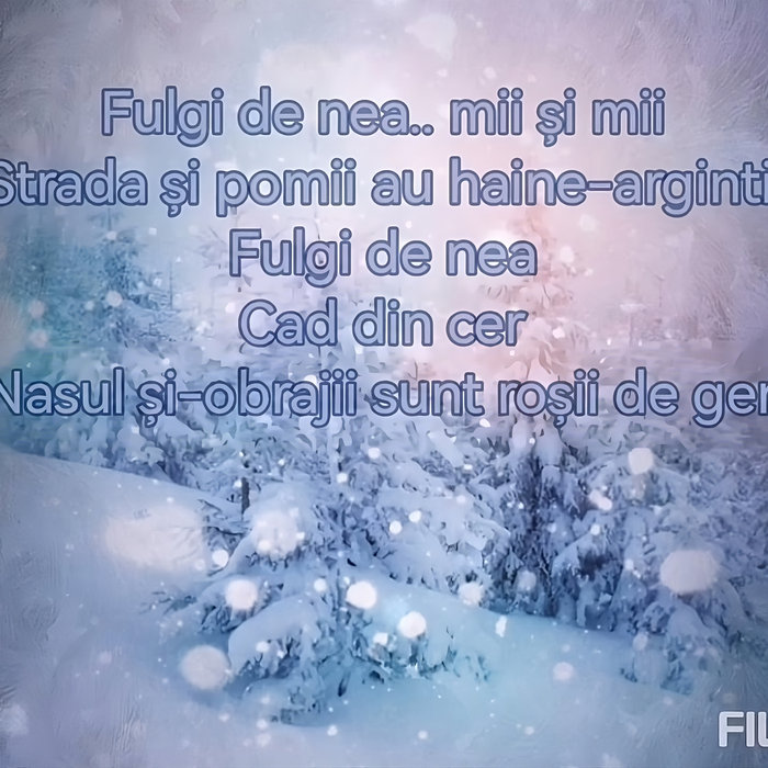 Fulgi de nea | RIDEy