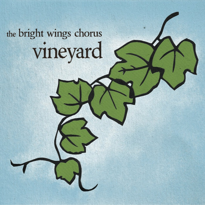 Vineyard | The Bright Wings Chorus | Brendan Taaffe