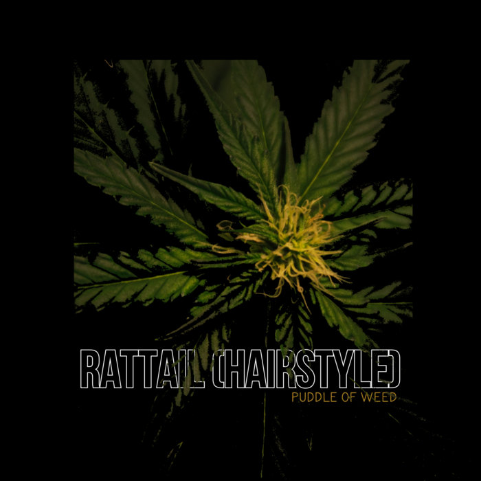 Rattail (Hairstyle) | Puddle of Weed