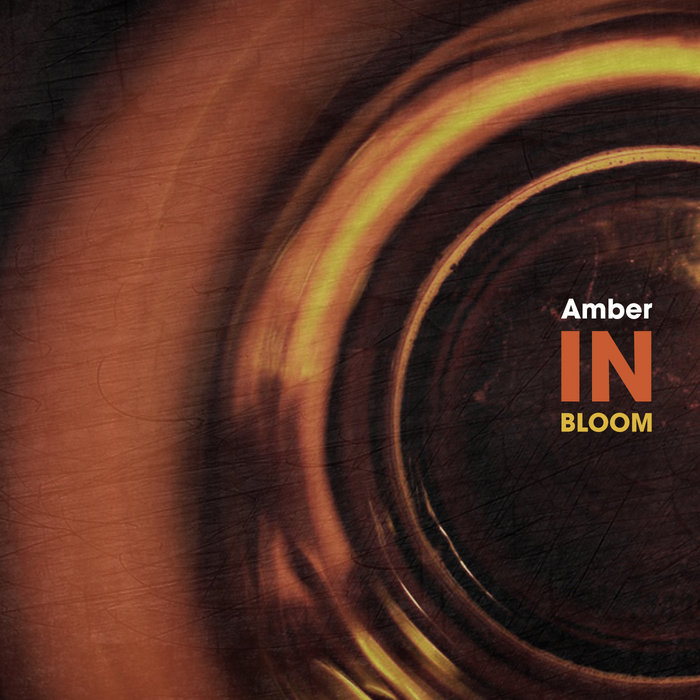 Amber in Bloom | Morgan Quaid