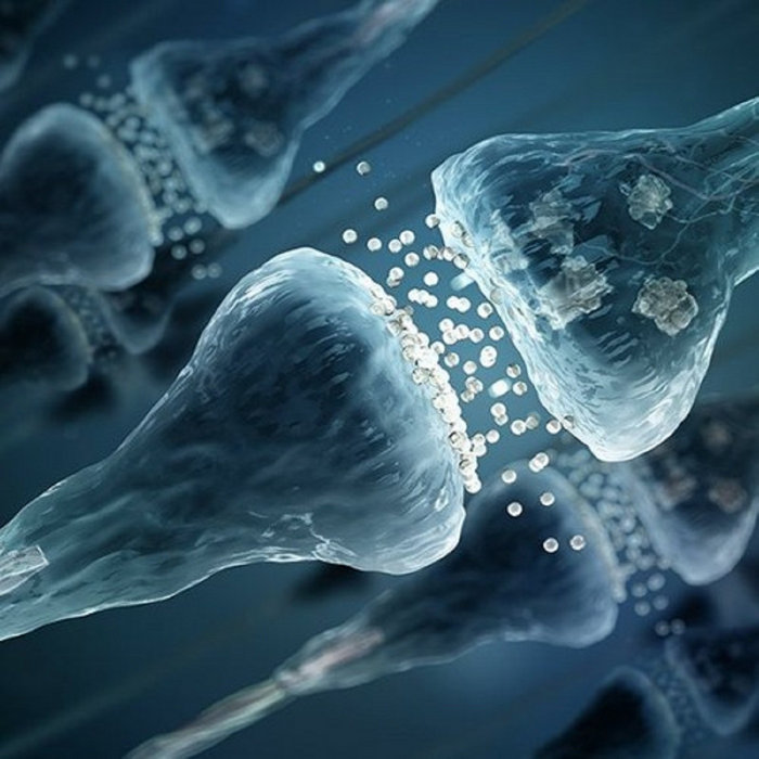 Relachement Synaptik | Cyclic Backwash