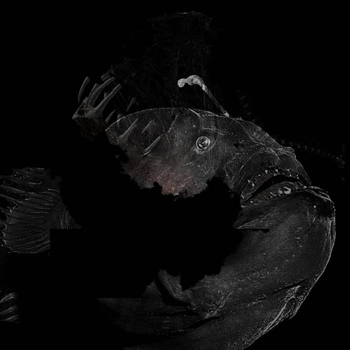 Black Devil Fish