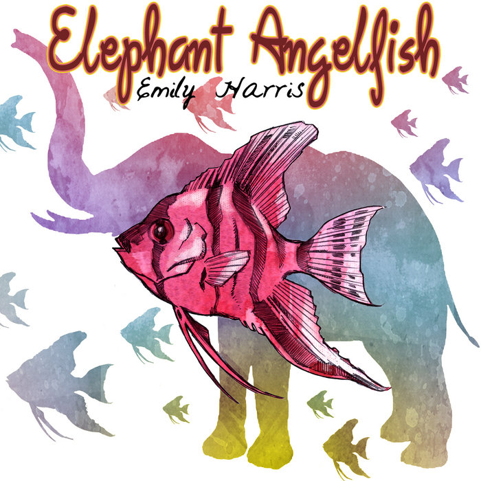 Elephant Angelfish | Emily Harris