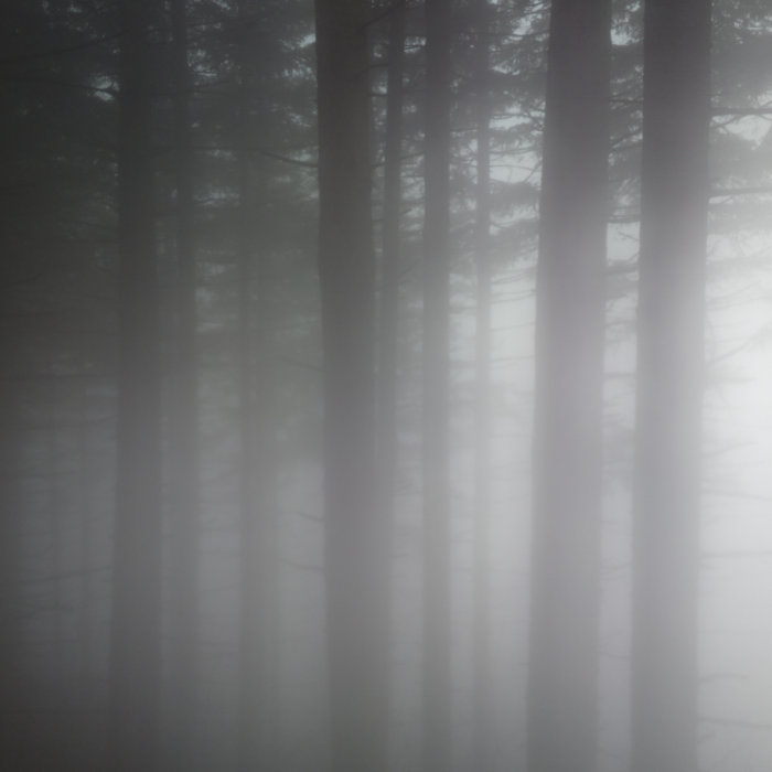 Here Beginneth The Life Of Brother Juniper | Docetism | Nichts