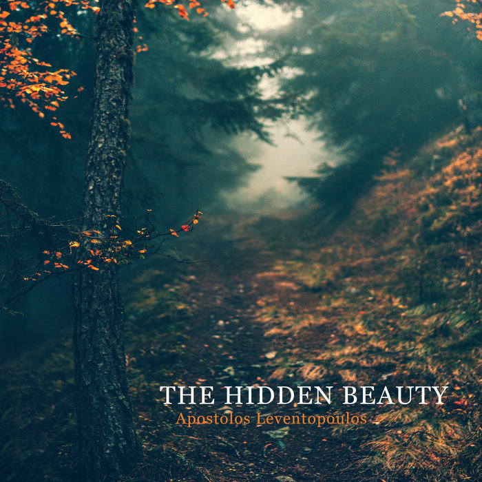 The Hidden Beauty | Apostolos Leventopoulos