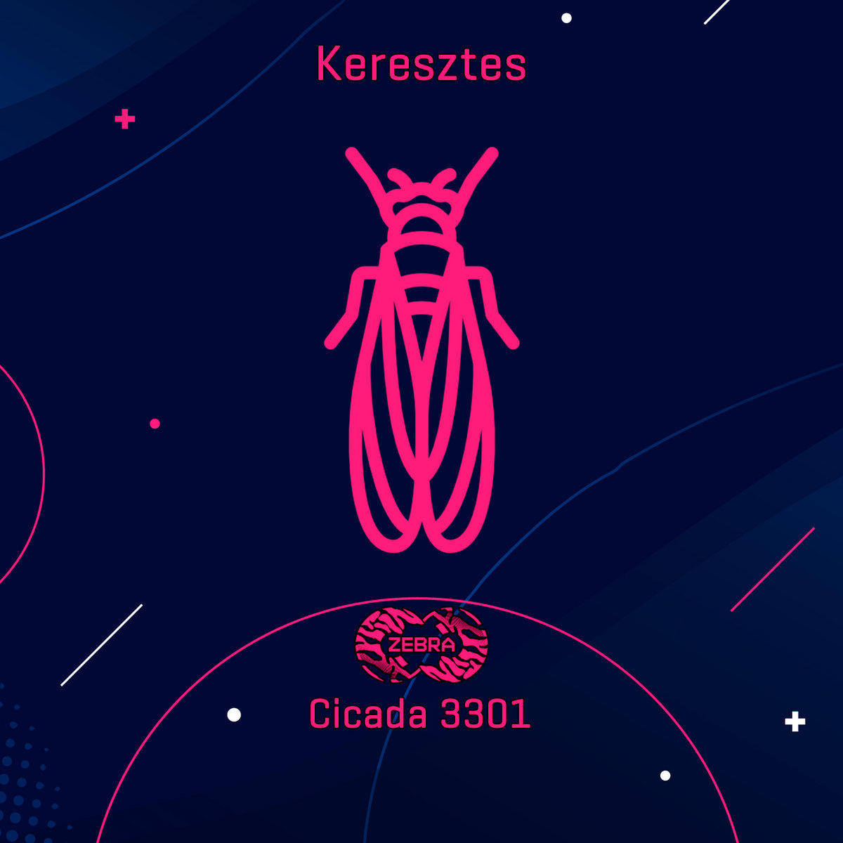 Cicada 3301 2022