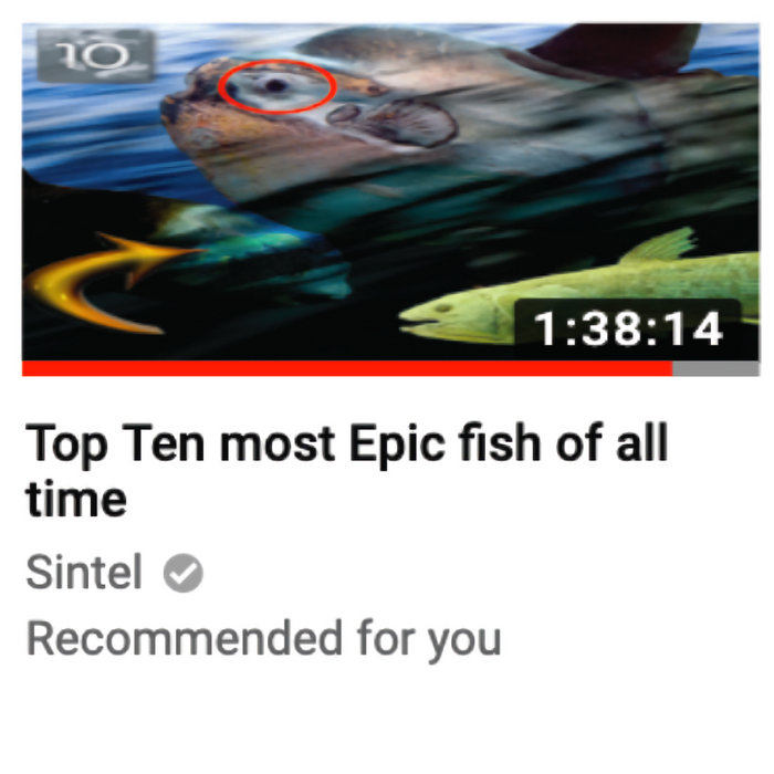 Top Ten most Epic fish of all time | Sintel