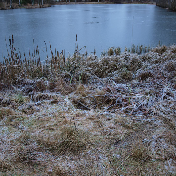 Ice Ponds | Jeff Brown
