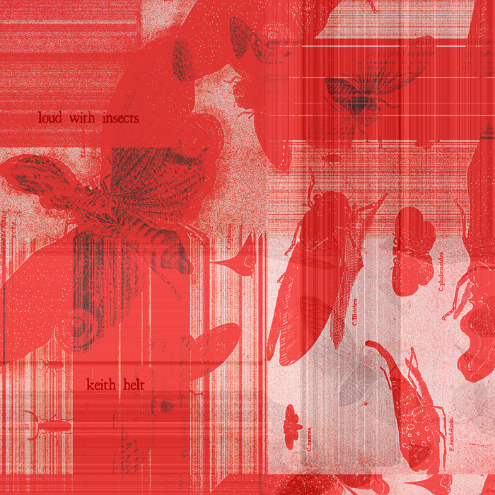 Loud with Insects | Keith Helt | pan y rosas discos
