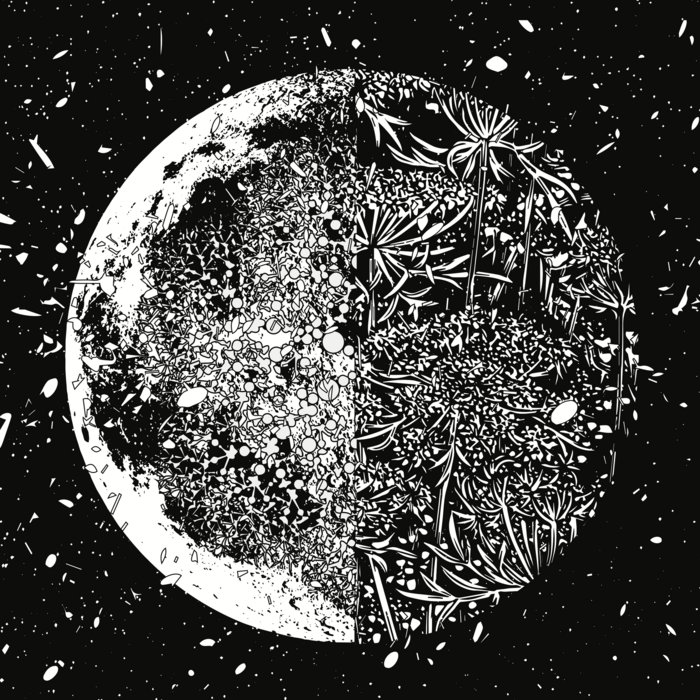 The Acanti EP | Lena Deen