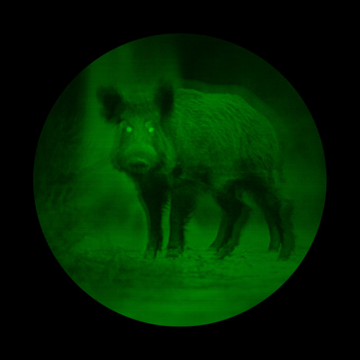 Night Vision | BOAR HUNTER