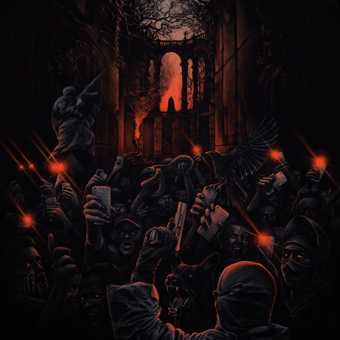 Nocturnal Kingdom | The Southern Oracle