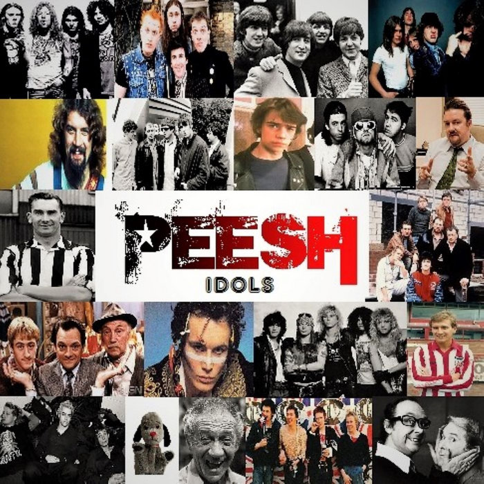Idols (Acoustic) | Peesh