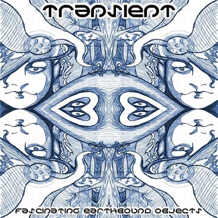 Fascinating Earthbound Objects | Transient | Fascinating Earthbound Objects