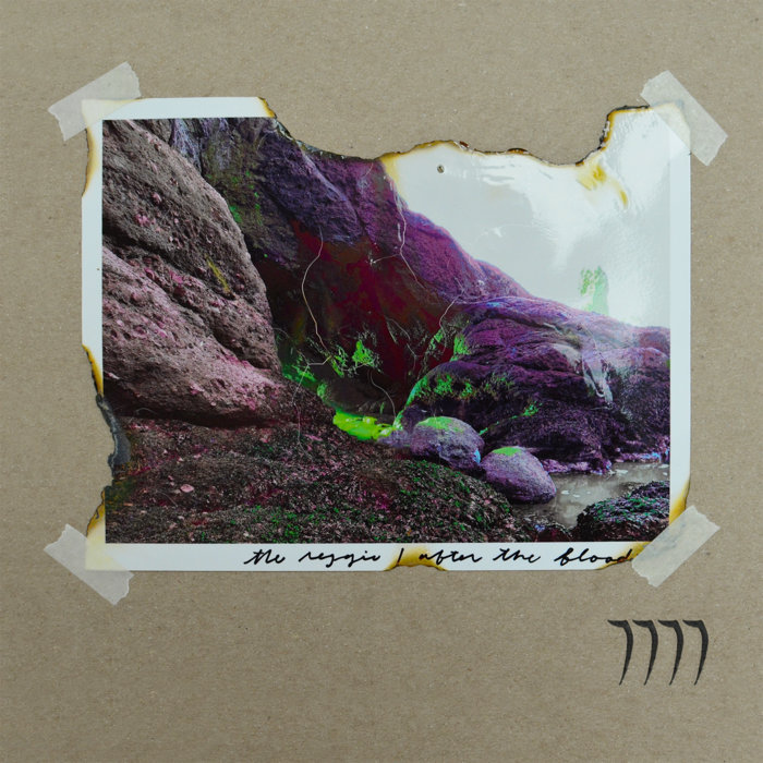 The Reggie / After the Flood | Space Shark