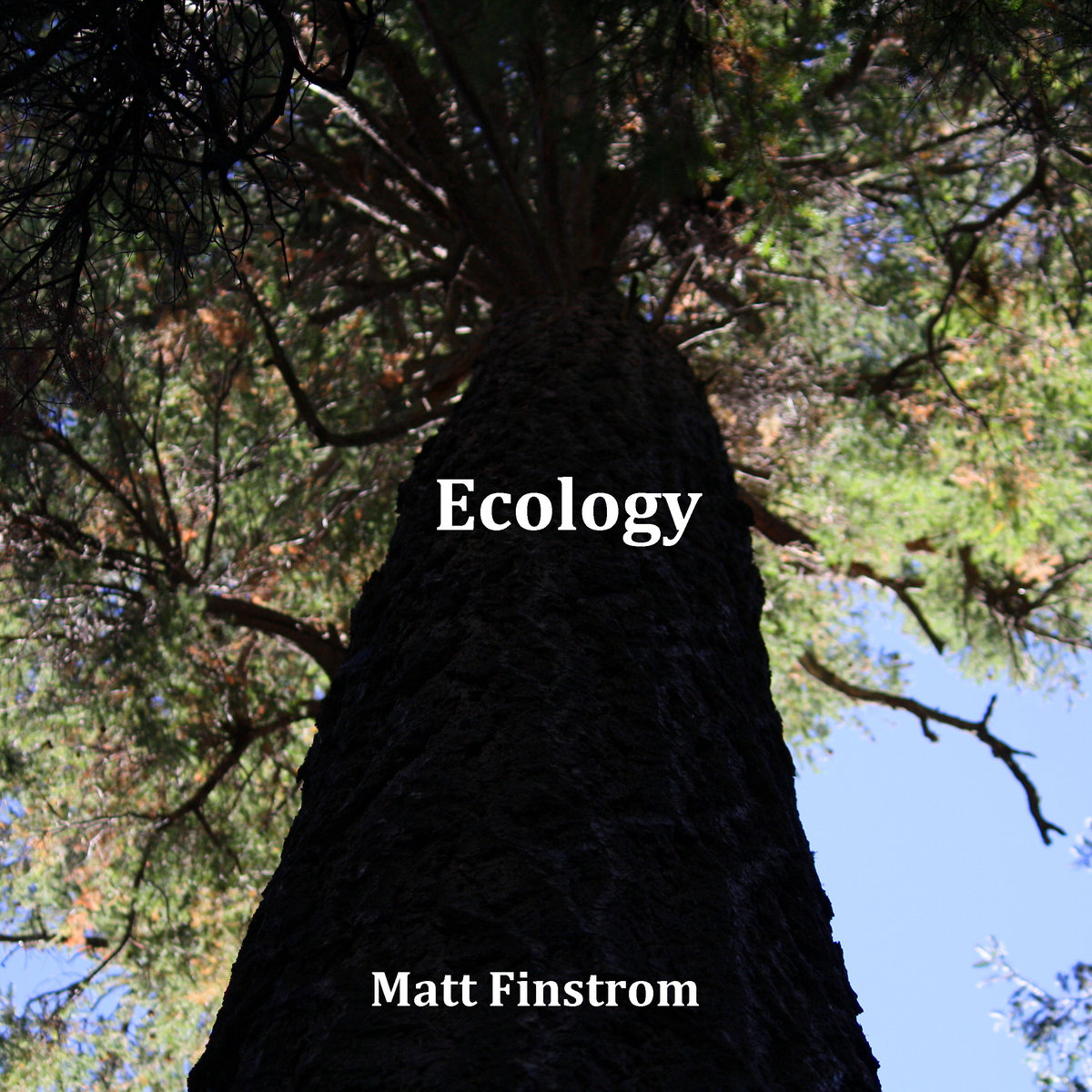Ecology | Matt Finstrom