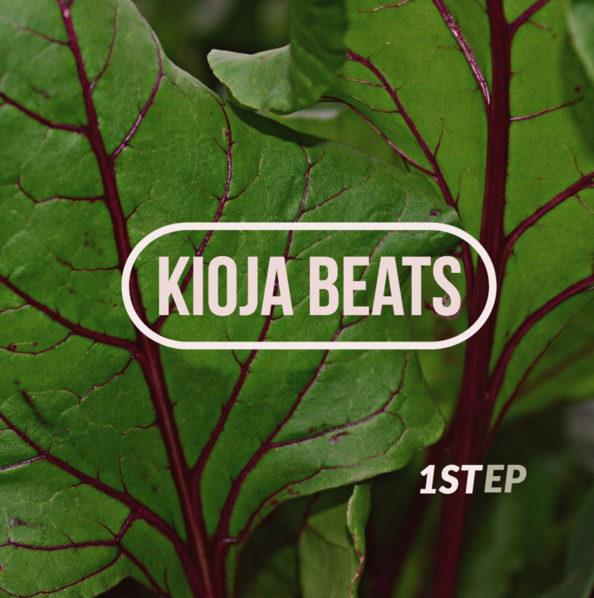 1step | Kioja Beats