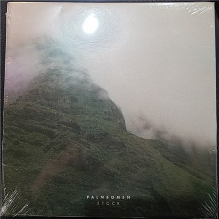 Stock | Palmbomen