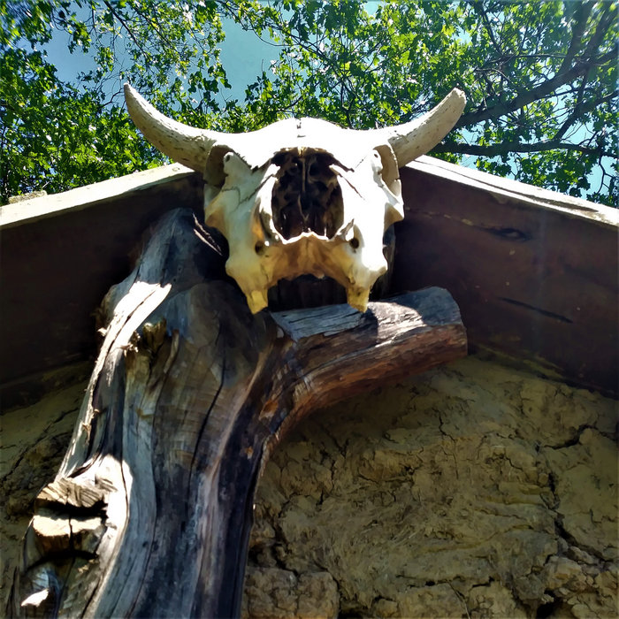 Bucranium (Volume Two) | Vijay Bakrania