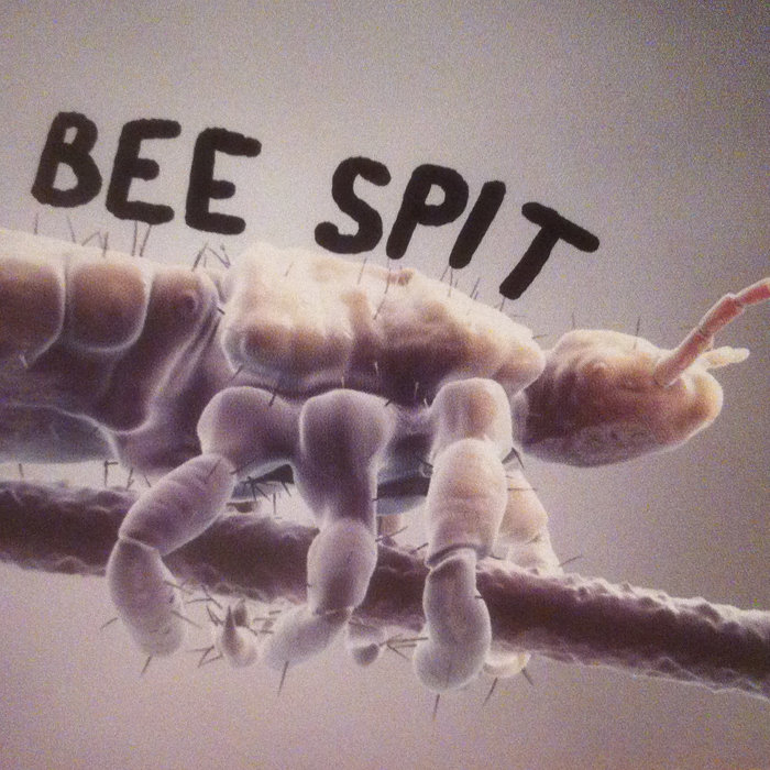 Liponyssoides Sanguineus | Bee Spit