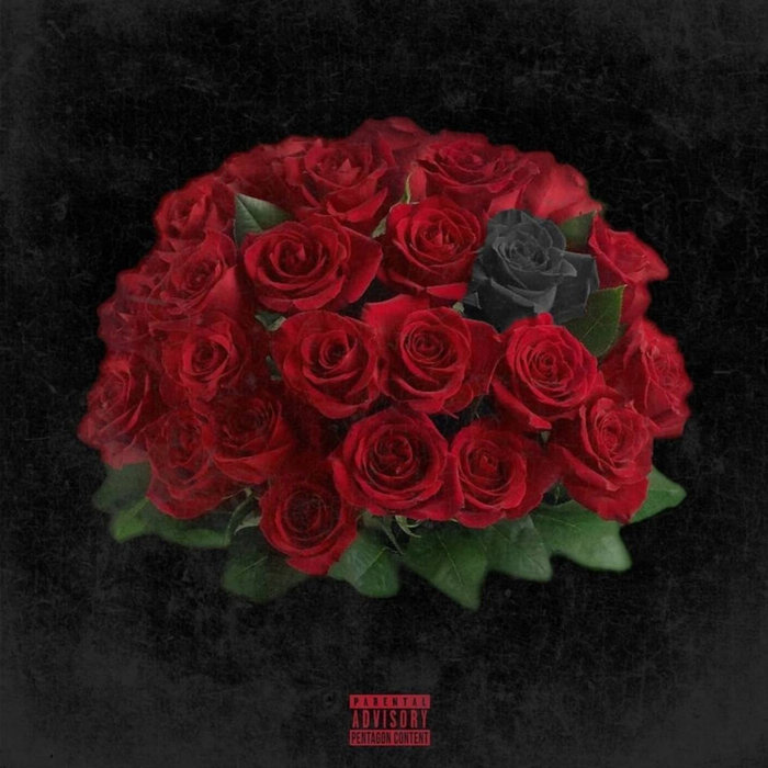 THE BLACK ROSE THEORY 🥀 | BLESS PICASSO X KRIMOPHONIK | KRIMOPHONIK