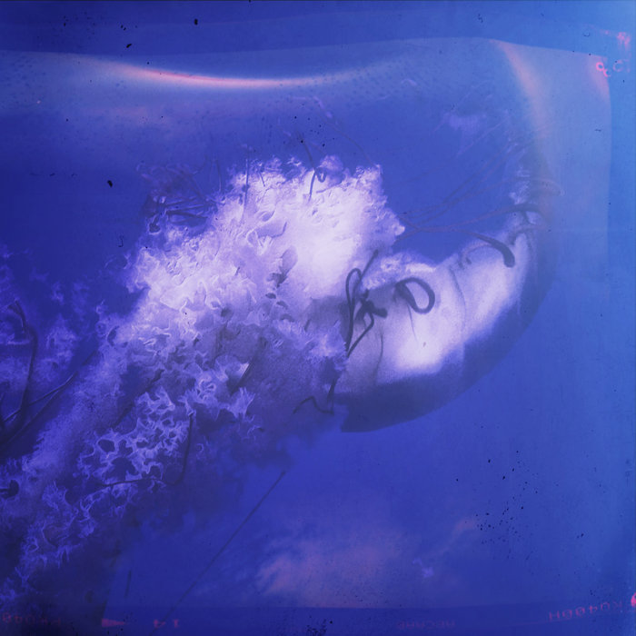 Think Blue Count Two | TAI-1 | SIIIG