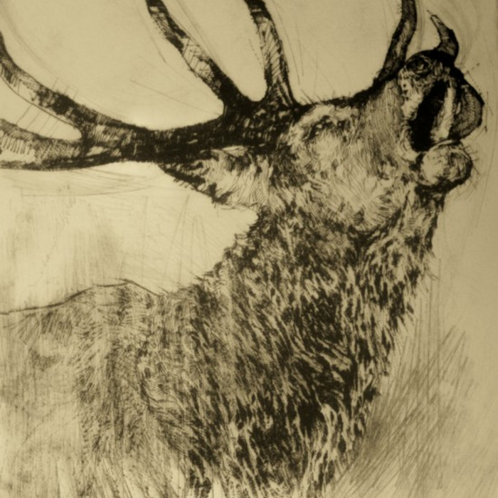 Zak Ford | EP | Zak Ford