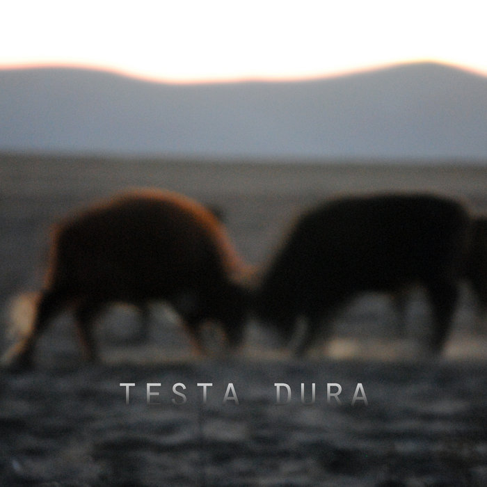Testa Dura | AP