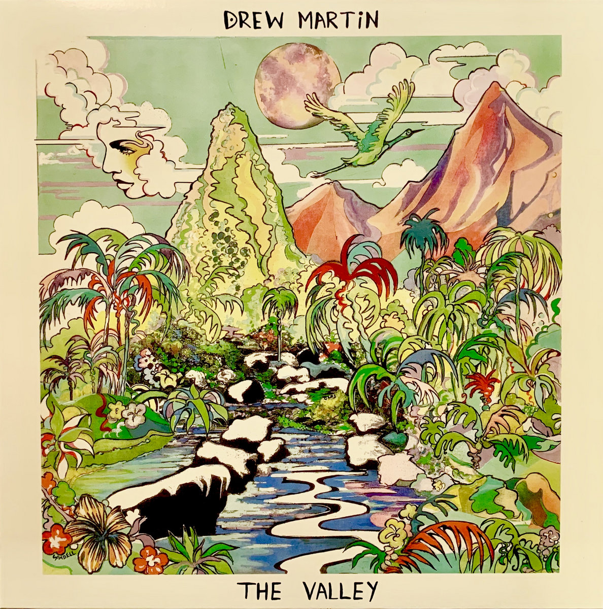 The Valley | Drew Martin