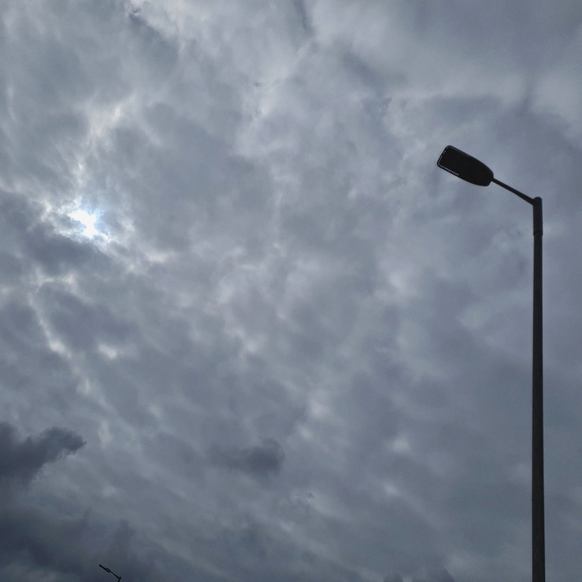 Junction | Andy Fray