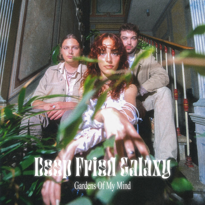 Gardens Of My Mind | Deep Fried Galaxy