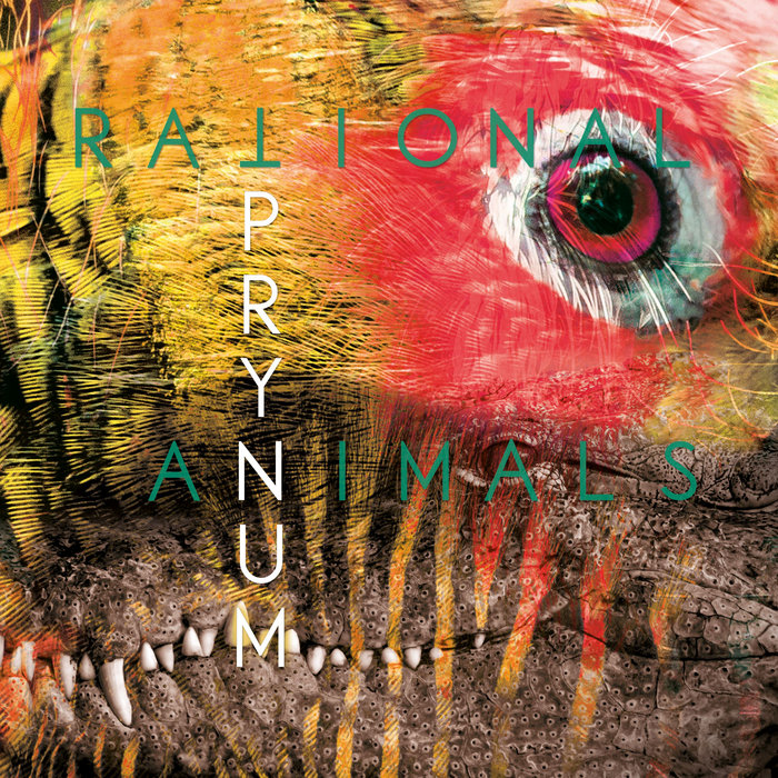 Rational Animals | Prynum